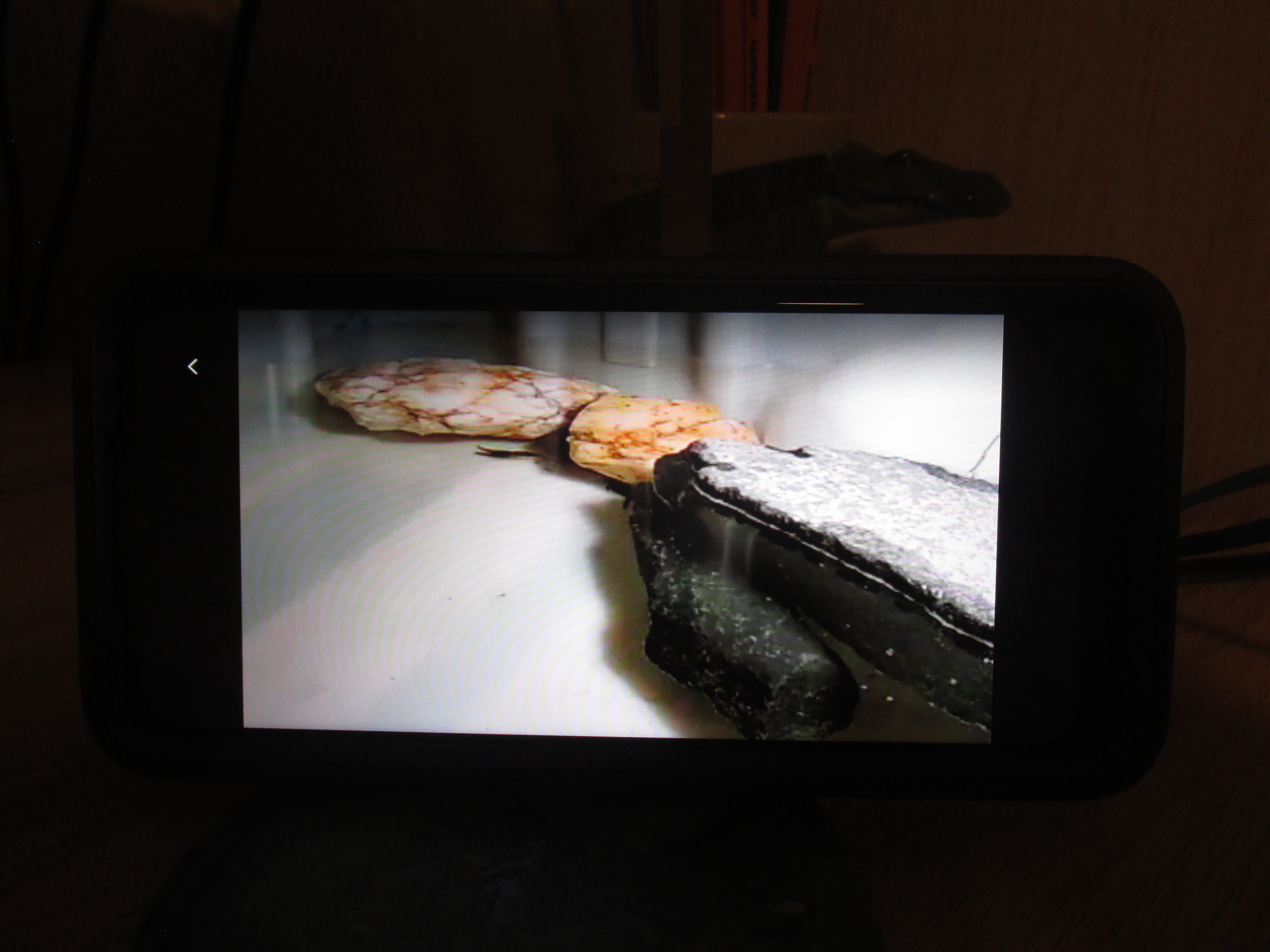 Awesome Exotics Enclosures