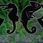 Reef & Reptile Company