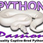 Python Passion