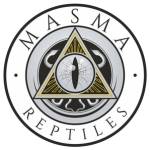 MASMA Reptiles