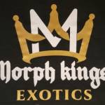 Morph Kings