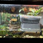 Awesome Exotics Enclosures
