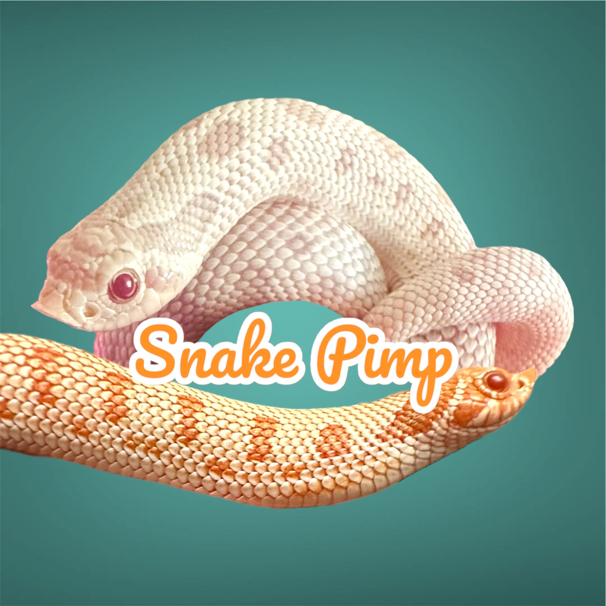 Snake Pimp